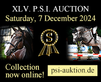 The Double Bridle: An Instrument of Understanding