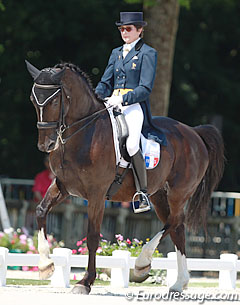 Cedric Gallinard Retires Under 25 Grand Prix Horse Scherzo ZC