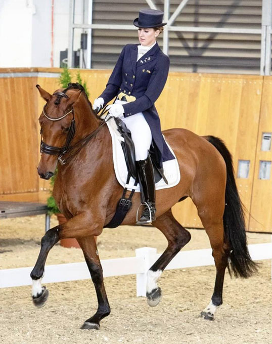 Hungarian Horses Selected for 2018 World Young Horse Championships