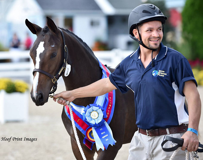 Noah ISF Named Foal Champion at the 2018 Devon Breed Show