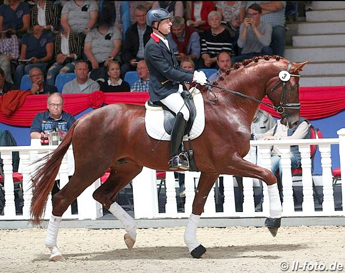 Vivat Rex, Price Highlight of the 2018 Oldenburg Autumn Elite Auction