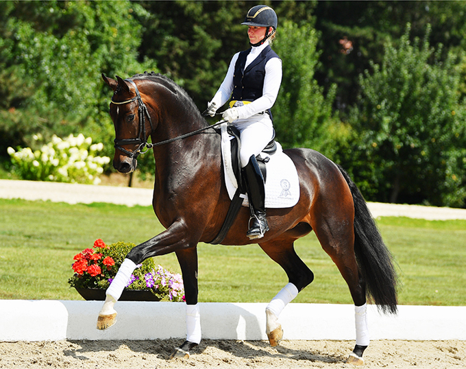 2018 PSI Auction Horse in the Spotlight: Fürstin Gesine