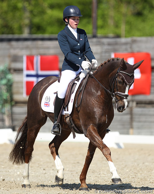 Long Listed Riders Selected for British Team 2019 European Pony ...