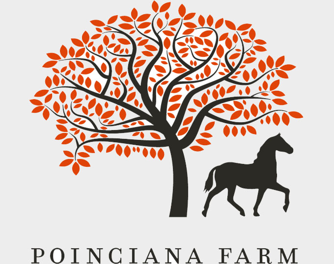 Poinciana Farm Making the Wellington Experience Carefree