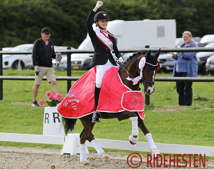Guldager Nielsen Scores 2019 Danish Pony Champion's Title