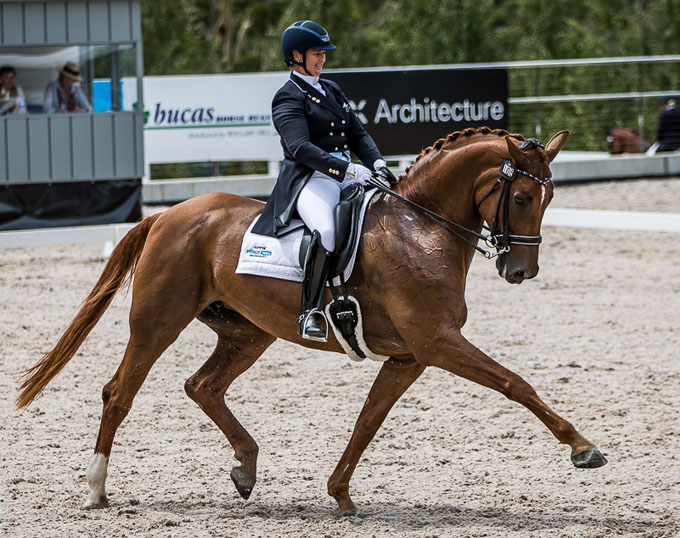 Australian Grand Prix Rider Lisa Martin Severely Injured in Riding Accident