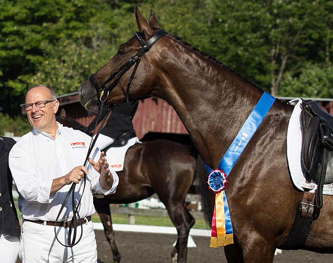 Scot Tolman: "Hold European Stallion Owners Accountable for the Quality ...