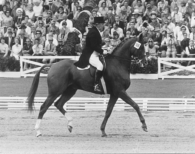 From Flying Past to Flying Change - Part V: The Thoroughbred in the 1970s