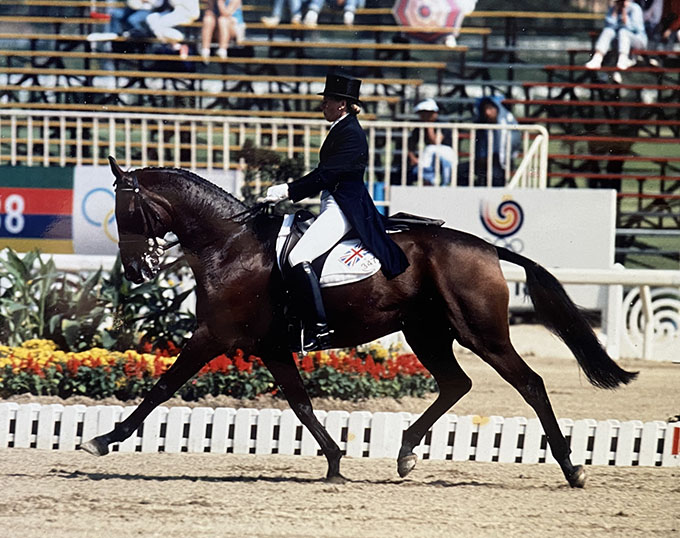 From Flying Past to Flying Change - Part VI: The Thoroughbred in the ...