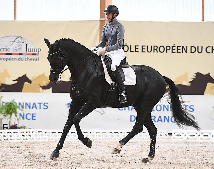 French Horses Selected for 2020 World Young Horse Championships