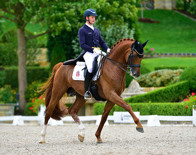 Stallion at Stud: Destacado FRH