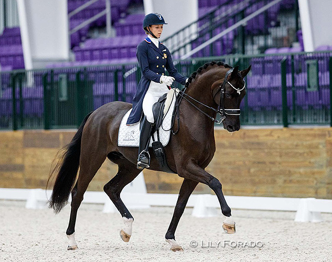Laura Graves Returns to the Show Ring with SenSation HW