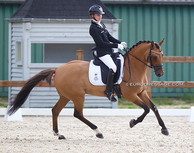 Belgian Team for 2021 European Pony Championships Announced