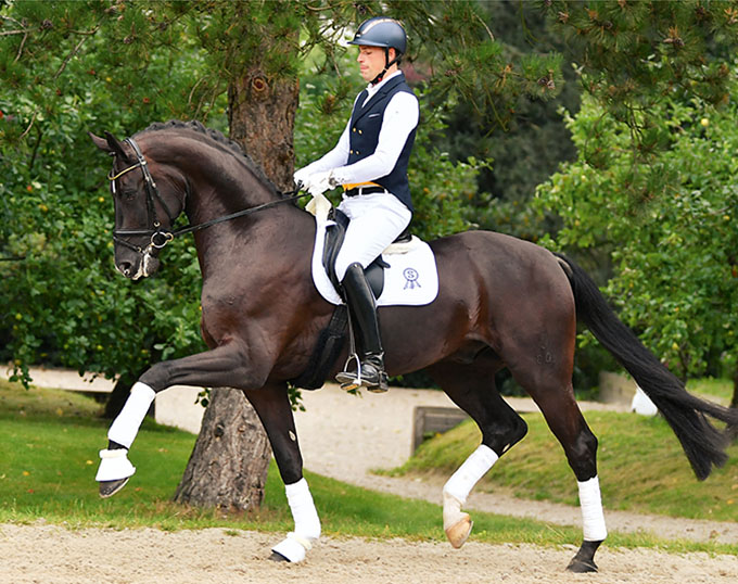 Sandro Hit Carries on Legacy in Grand Children in 2021 PSI Auction ...