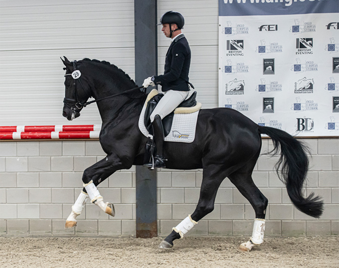 U.S. Para Champion Kate Shoemaker Sources New Hopeful Supreme in Holland