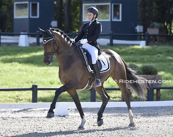 Marlene Binder Finds Junior Horse and New Coach, Roth Sisters Seek ...