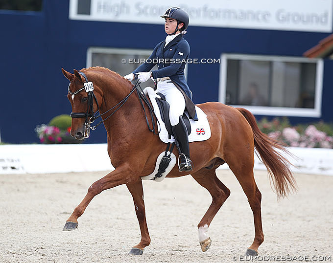 Coral Ingham's Wanadoo Retired from Competition Sport