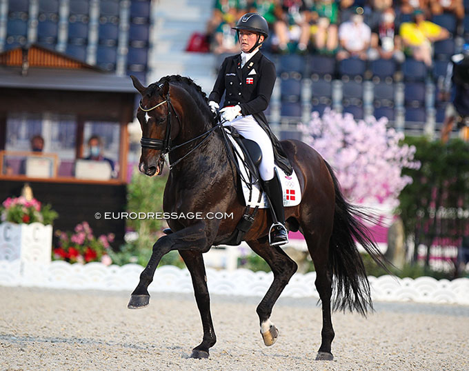 Blue Hors Tightens Alliance with German Stallion Stations for 2022 ...