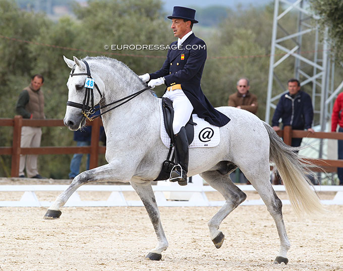 KWPN to Host First Licensing for Iberian Cross Breds