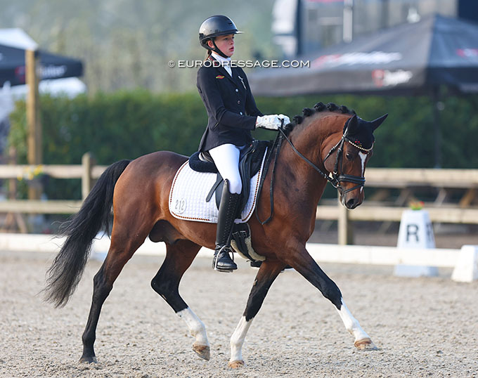 TI Drei D, New Ride for German Pony Rider Alessa Marie Maass