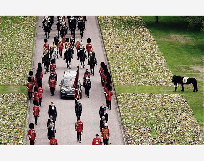 Iconic Moment at Queen Elizabeth II's Funeral: Fell Pony Emma Waiting at Windsor Castle