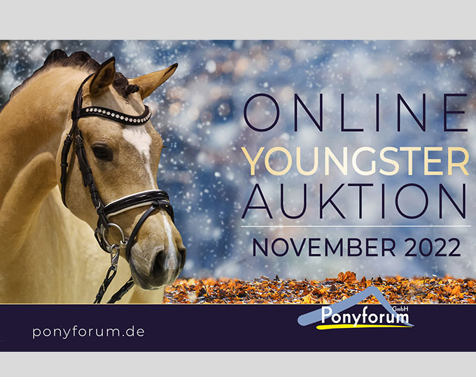 Ponyforum GmbH: 2022 Online Youngster Auction in Full Swing