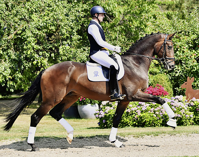 50 Top Horses and 1 Address for Top Performance: The 43rd P.S.I ...