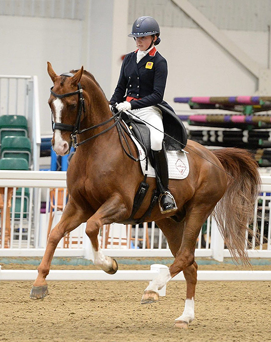 Ruby Hughes Plans for Young Riders with World Exclusive, Extra Time P Sold Ruby Hughes Plans for Young Riders with World Exclusive, Extra Time P Sold
