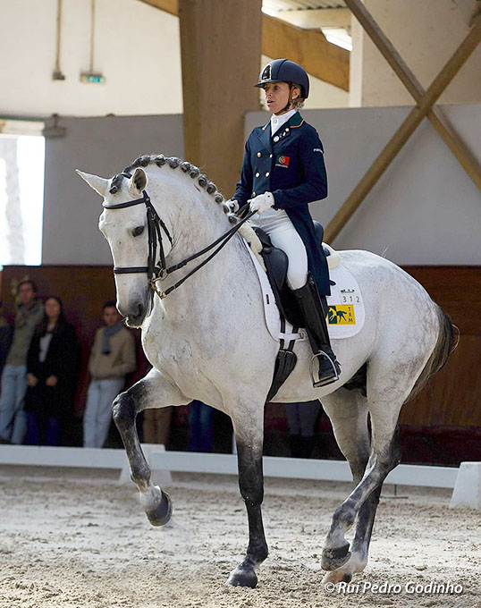 Maria Caetano Presents Horizonte, a Third Grand Prix Horse for the Road ...