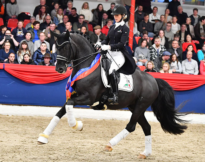 Total Hope OLD, VTV Oldenburg Dressage Stallion of the Year 2022