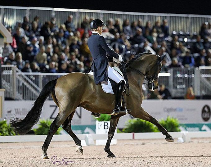 Wandres and Bluetooth Head European Sweep of 4* Tour at 2023 CDI Wellington