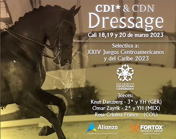 Scores: 2023 CDI Cali