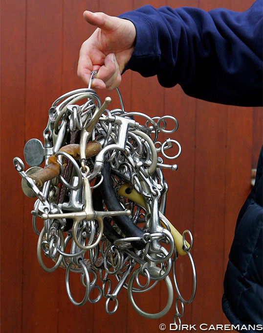 FEI Launches Tack App as Go-To Destination for All Pieces of Tack and ...