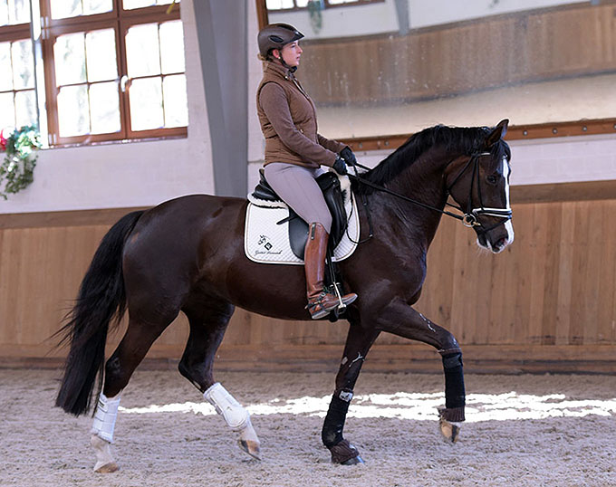 Donauinsel, Second Iron in the Fire for Rixt van der Horst