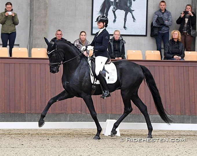 Åtoftens Dancing Memory Sold to Danish Pony Rider