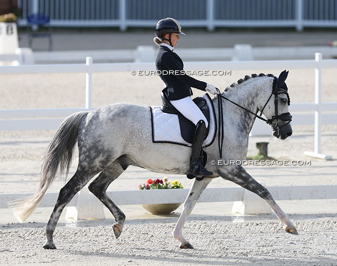 Dutch Team Announced for 2023 European Pony Championships