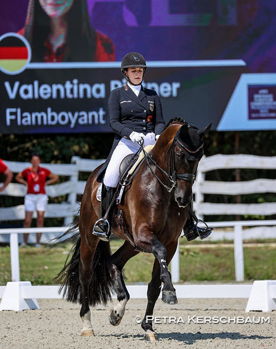 Pistner on Individual Gold Medal Course at 2023 European Young Riders ...