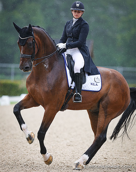 Ahorner Withdraws from Riesenbeck after Freak Accident