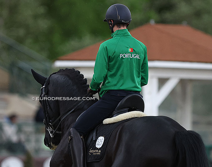 Portuguese Equestrian Federation: "Trust on the Consistency and ...