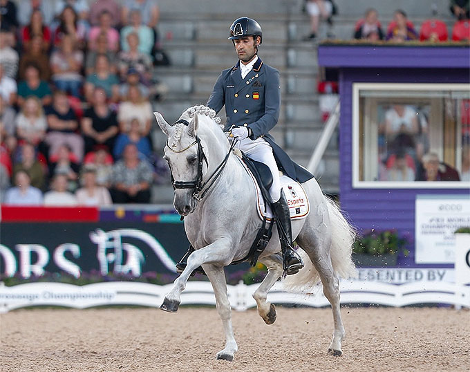 Yeguada Indalo: Where PRE's are Forged Into Champions for Dressage