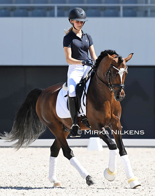 German FEI Pony TI Drei D Sold to Denmark