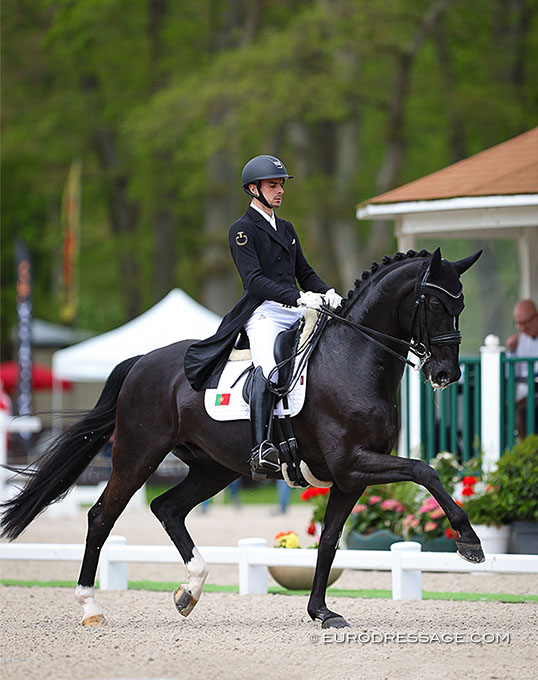 Zonik Hit, Portugal's Team Number One in Riesenbeck, Sold to German ...