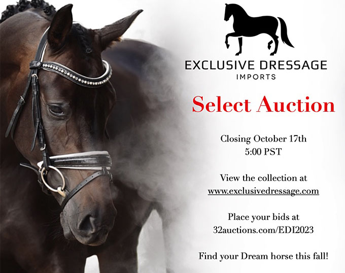 Exclusive Dressage Imports' Select Auction of Three Young Dressage Talents