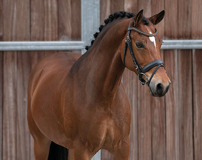 Pes 2017 database - byteskera