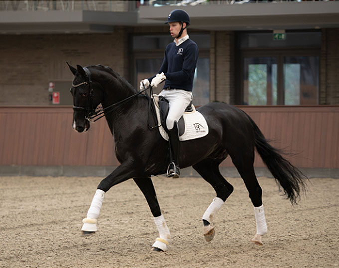Former Danish Pony Team Rider Finds Junior Hope in Blue Hors Victor