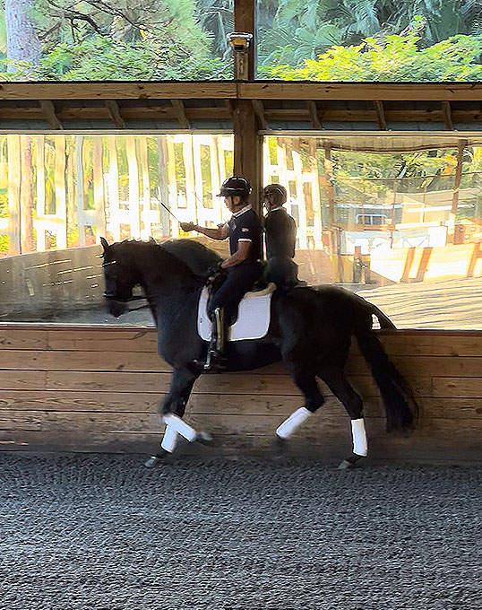 FEI Provisionally Suspends Cesar Parra (USA) for Alleged Animal Abuse