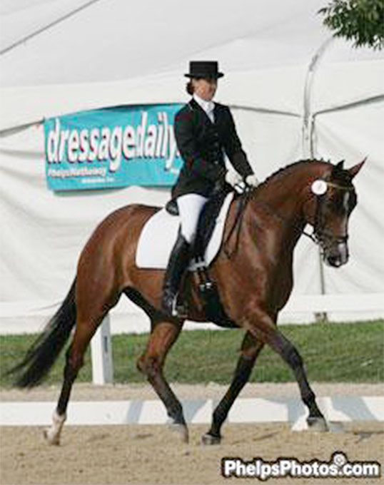 BW Callista, Up to Date, Catapult Win 2006 U.S. Young Horse Championships