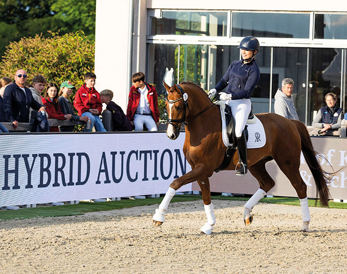 American Clients Buy Price Highlights at 2024 Hof Kasselmann Hybrid Auction