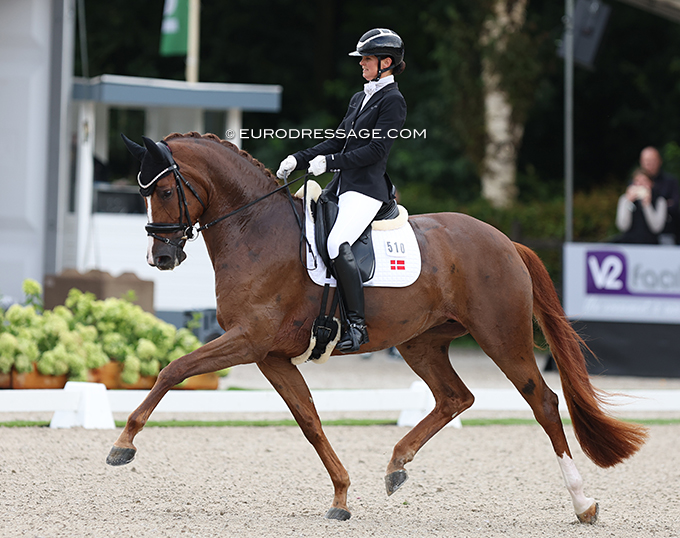 Danish Horses Selected for 2024 World Young Horse Championships