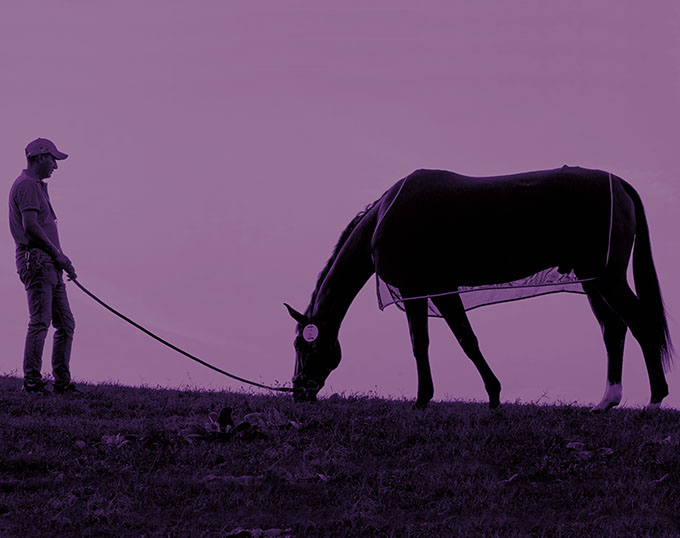 Be a Guardian: A Fundamental Reframing of Equestrian Care